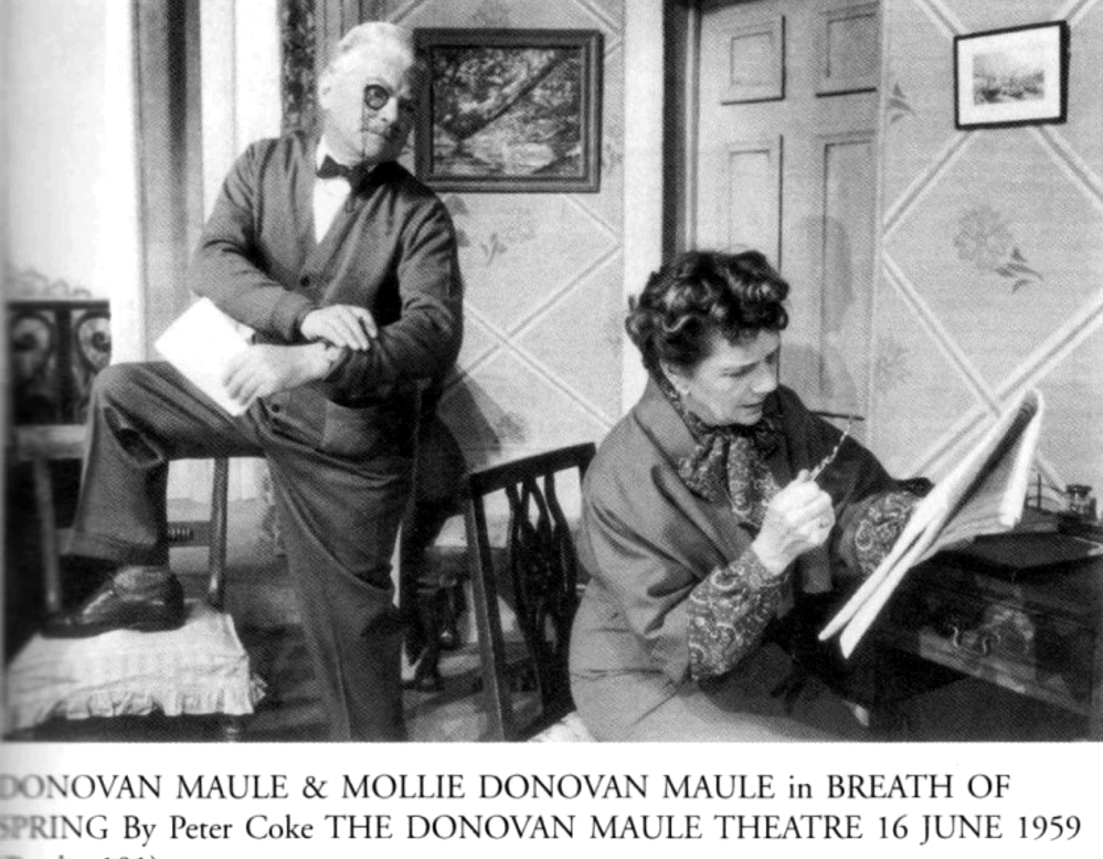 The Donovan Maule Theatre | Old Africa Magazine